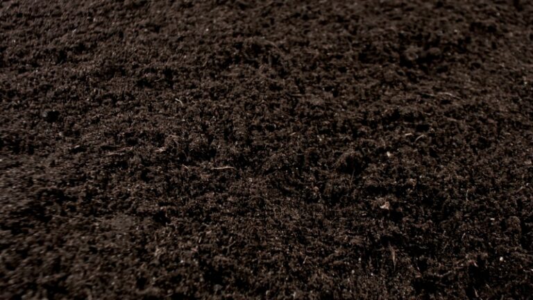 How Soil Stores Carbon - The Hidden Climate Solution Beneath Our Feet ...