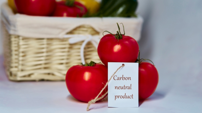 Carbon Emissions from Food - What You Should Know - Carbo Europe