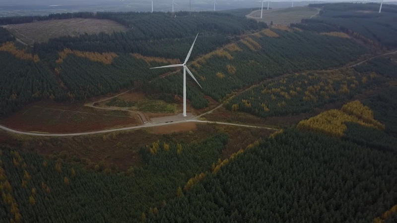 Wind Energy - Advantages and Disadvantages You Should Know - Carbo Europe