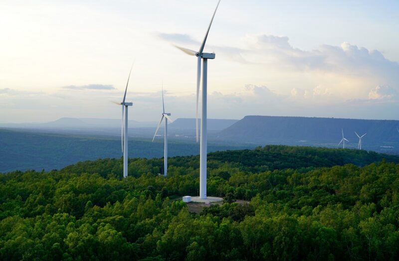 The Role of Wind Energy in Building a More Sustainable Economy - Carbo ...